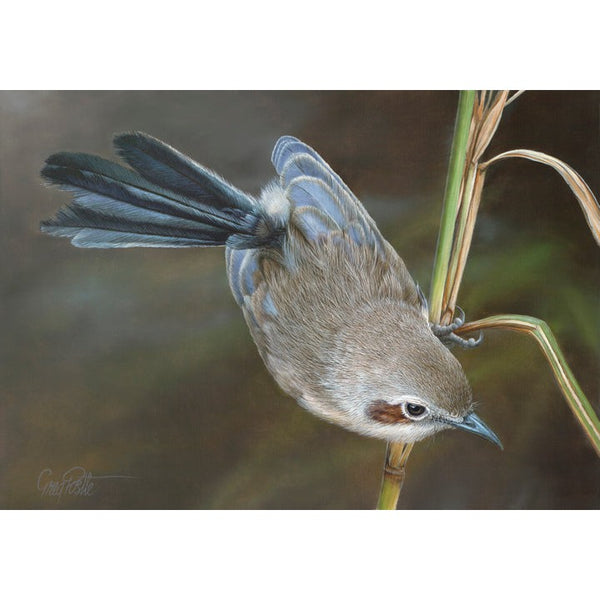 Sassy - Fine Art Print - Creative Edge Art Collective