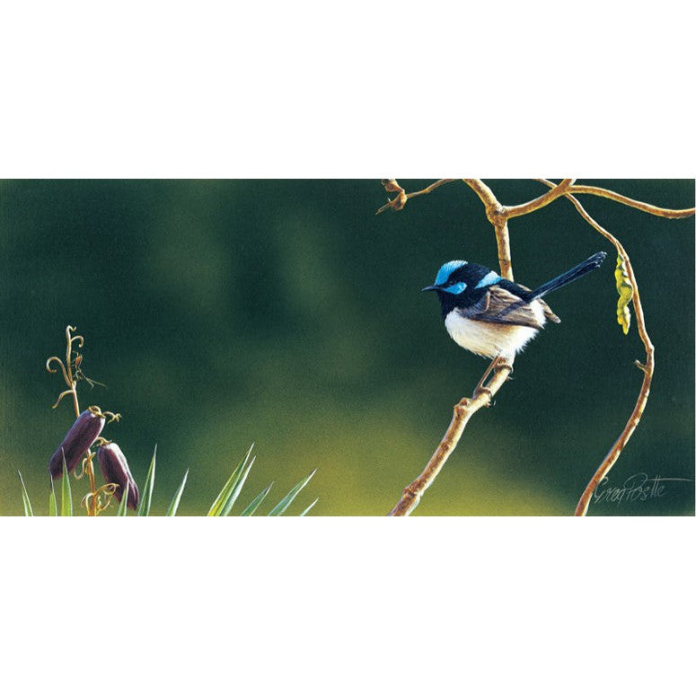 Greg Postle - Fine Art Prints - Creative Edge Art Collective